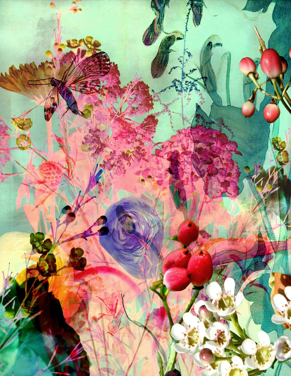 Heidi Conrod – EYE BUY ART